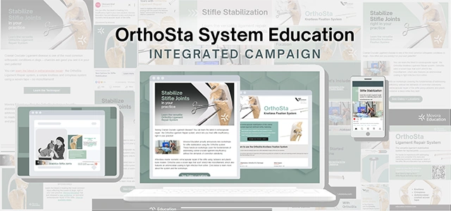 Entry 1827 | The VETTYS Awards®