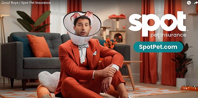 Entry 2053 | The VETTYS Awards®